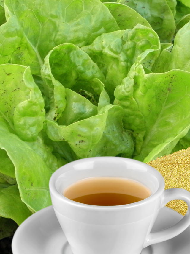 Easy Sleep Tea with Lettuce! Story | Wellness Lifestyle | Healthy Kyla
